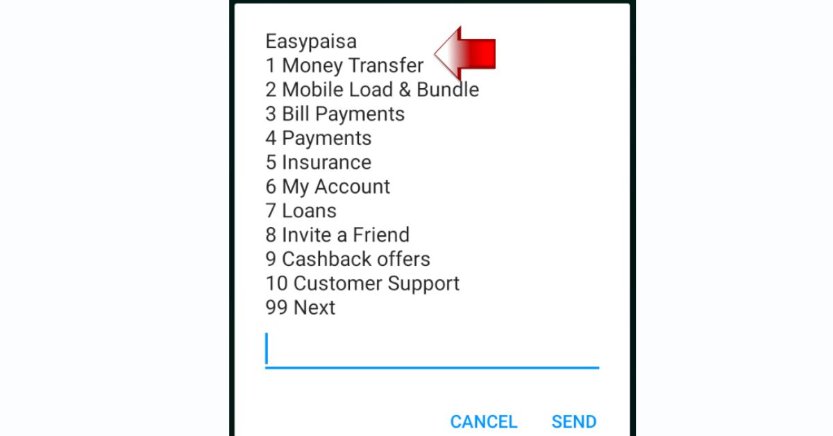 How To Send Money From Easypaisa Without App In 2025