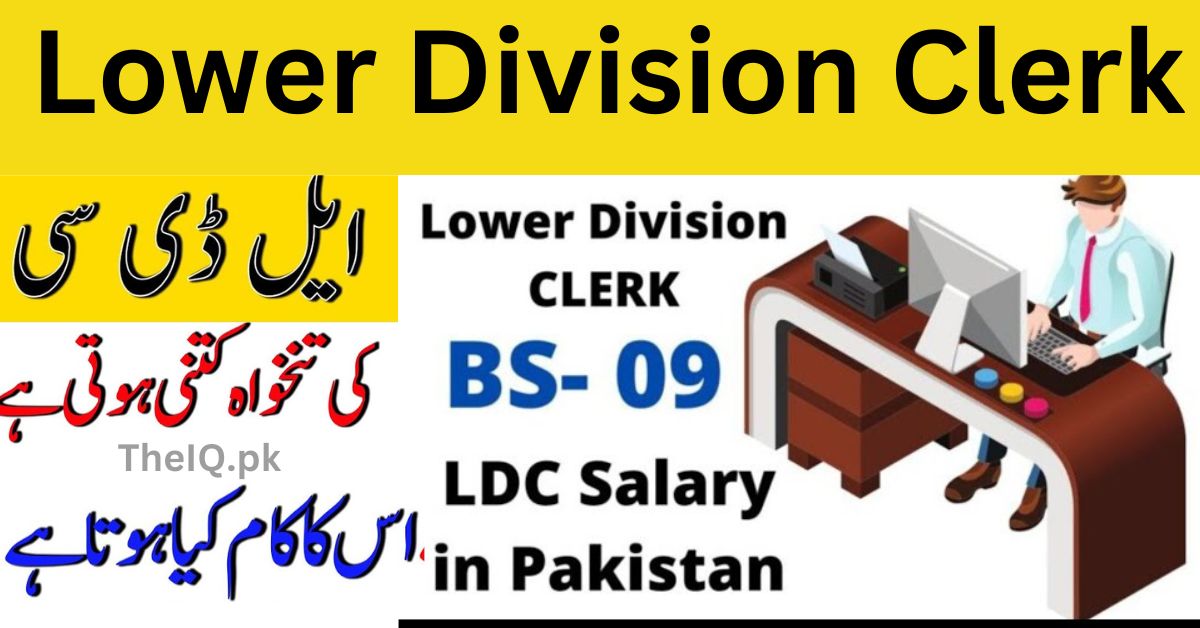 Lower Division Clerk (LDC) Salary In Pakistan 2023