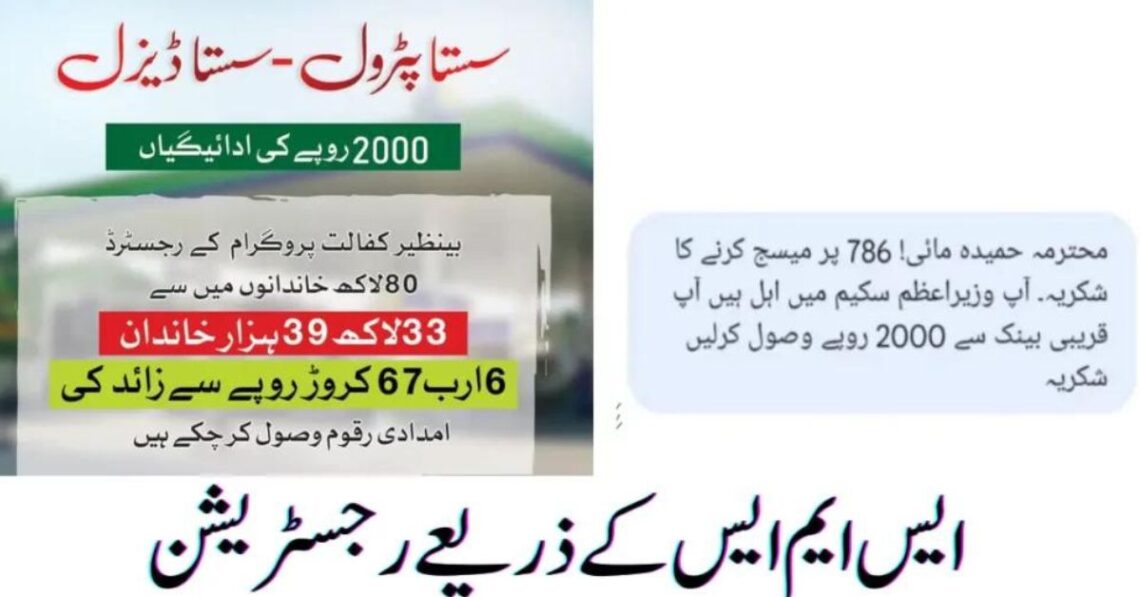 Ehsaas 786 Web Portal Check Online Registration 2025