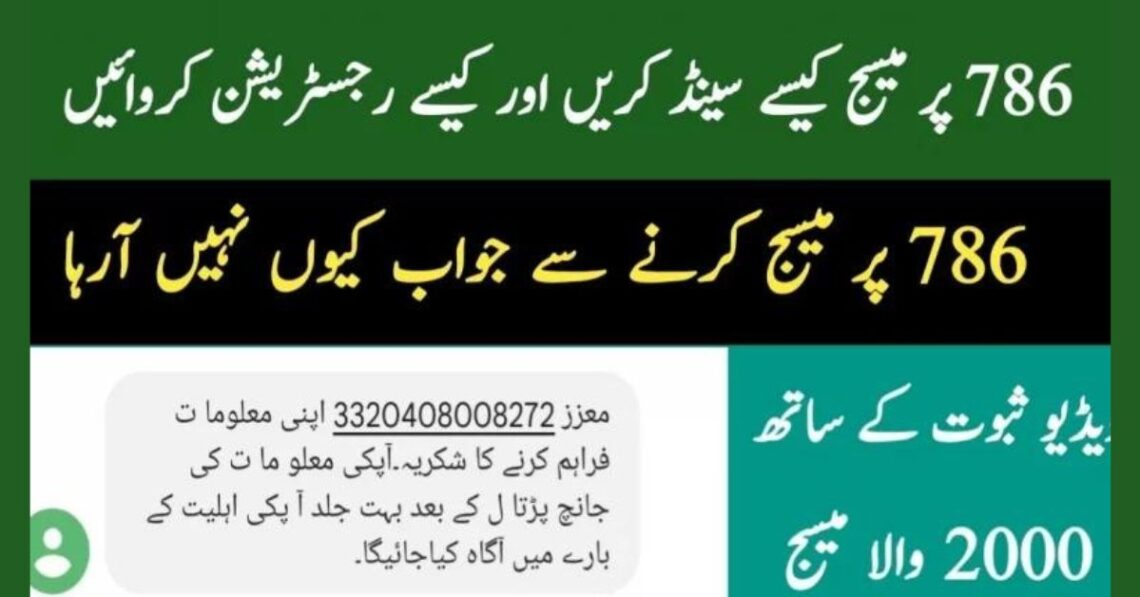 Ehsaas 786 Web Portal Check Online Registration 2025
