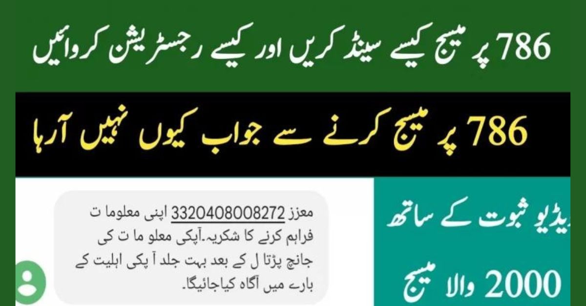 Ehsaas 786 Web Portal Check Online Registration 2025