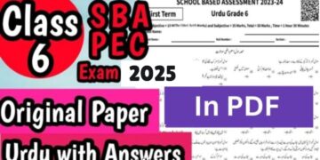 School Based Assessment (SBA) 2025 | Grade 6 With Answers Keys